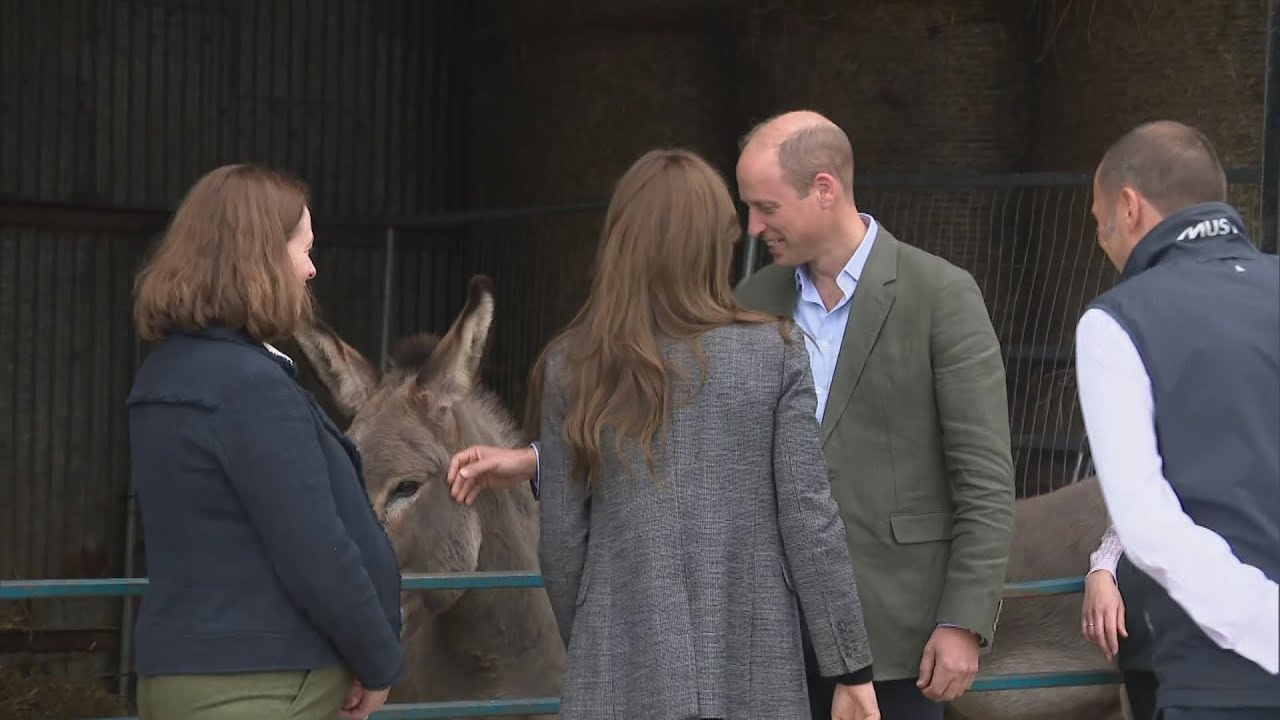 Prince Farming: William and Princess Kate Stroke Adorable Donkey - The ...