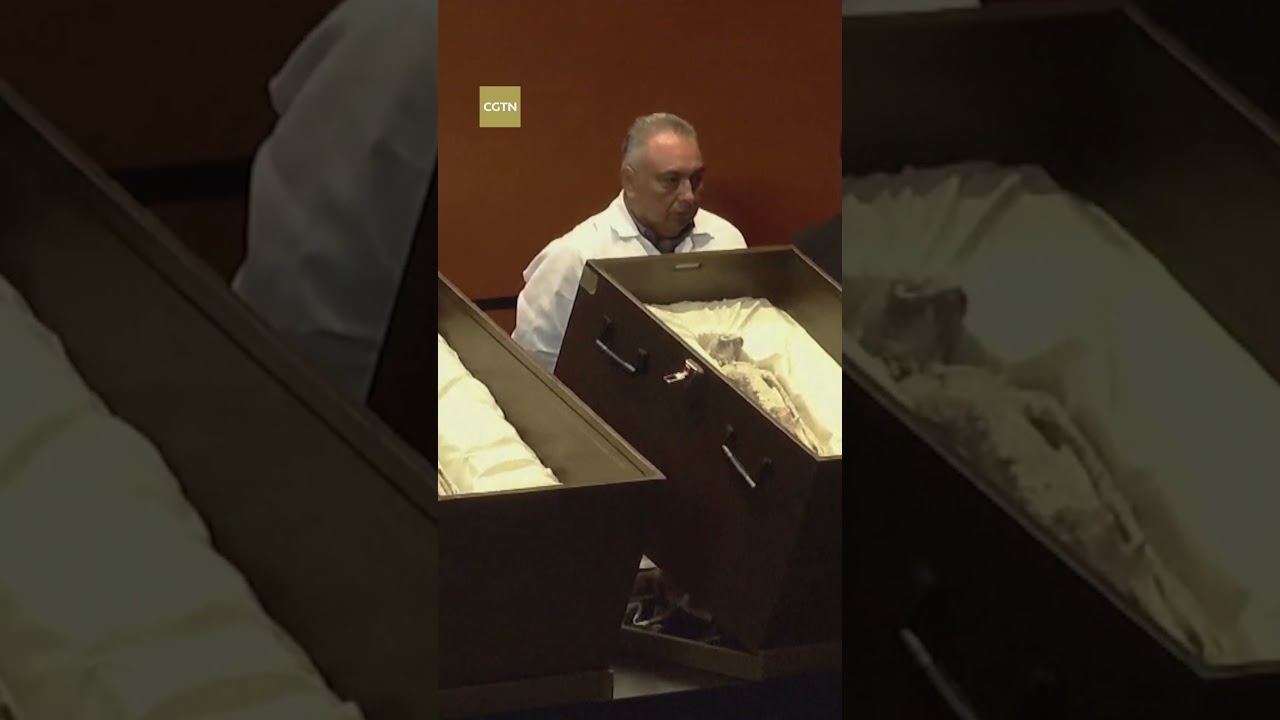 'Non-human' beings shown to Mexico's Congress during public hearing ...