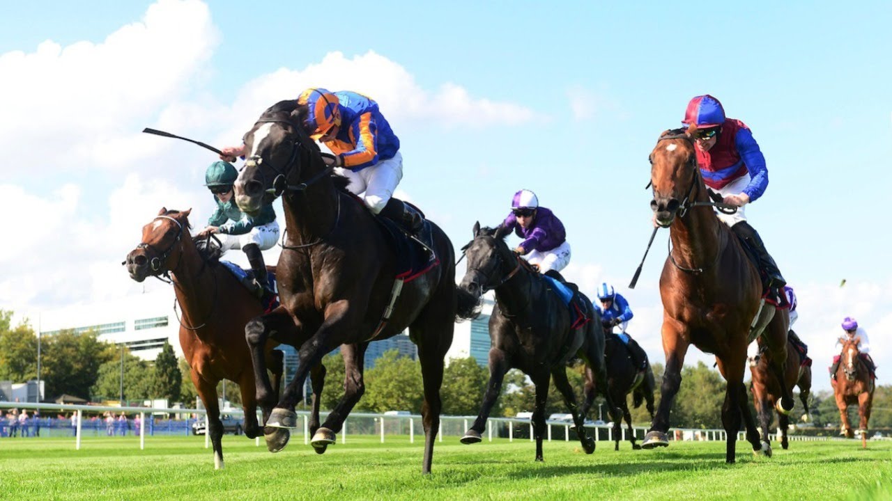 Redemption for Auguste Rodin! Dual Derby hero captures Irish Champion ...