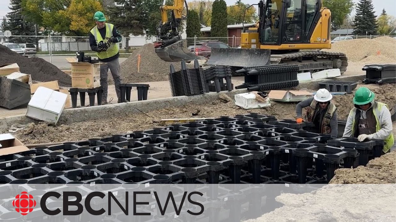 Soil cells support tree growth along Edmonton’s newest LRT route - The ...