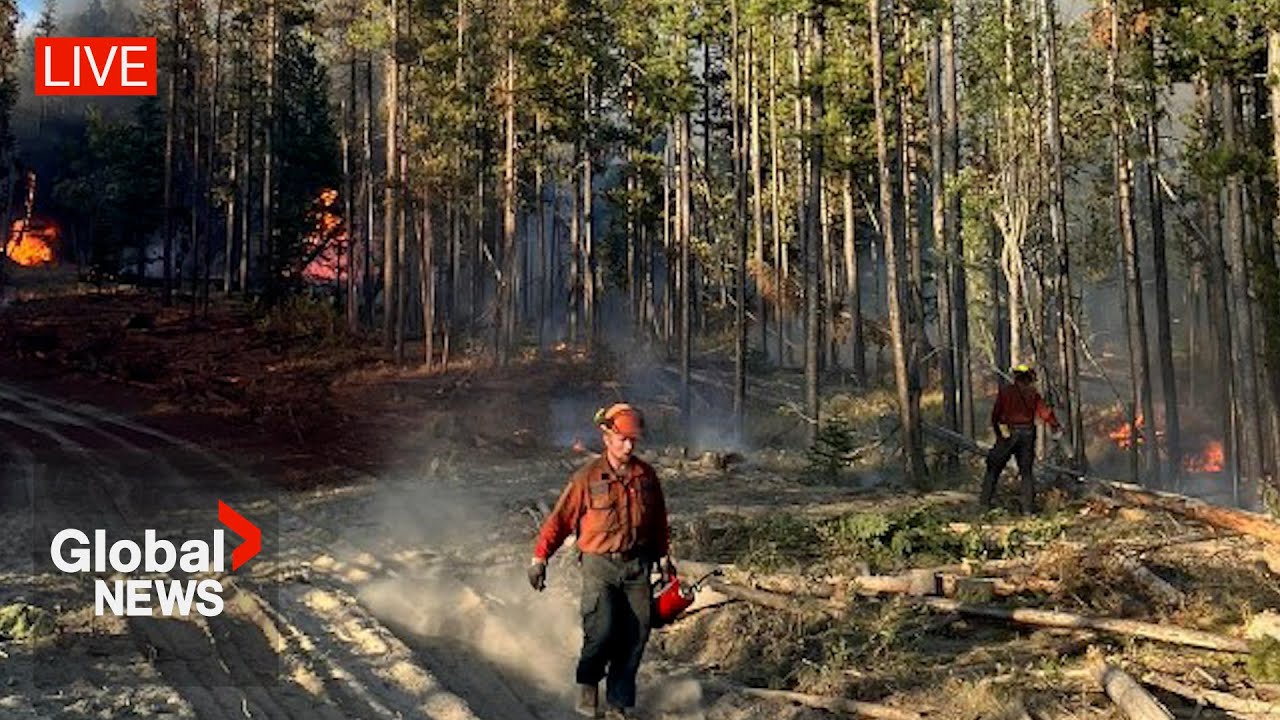 Canada Wildfires: Government officials provide update on seasonal ...