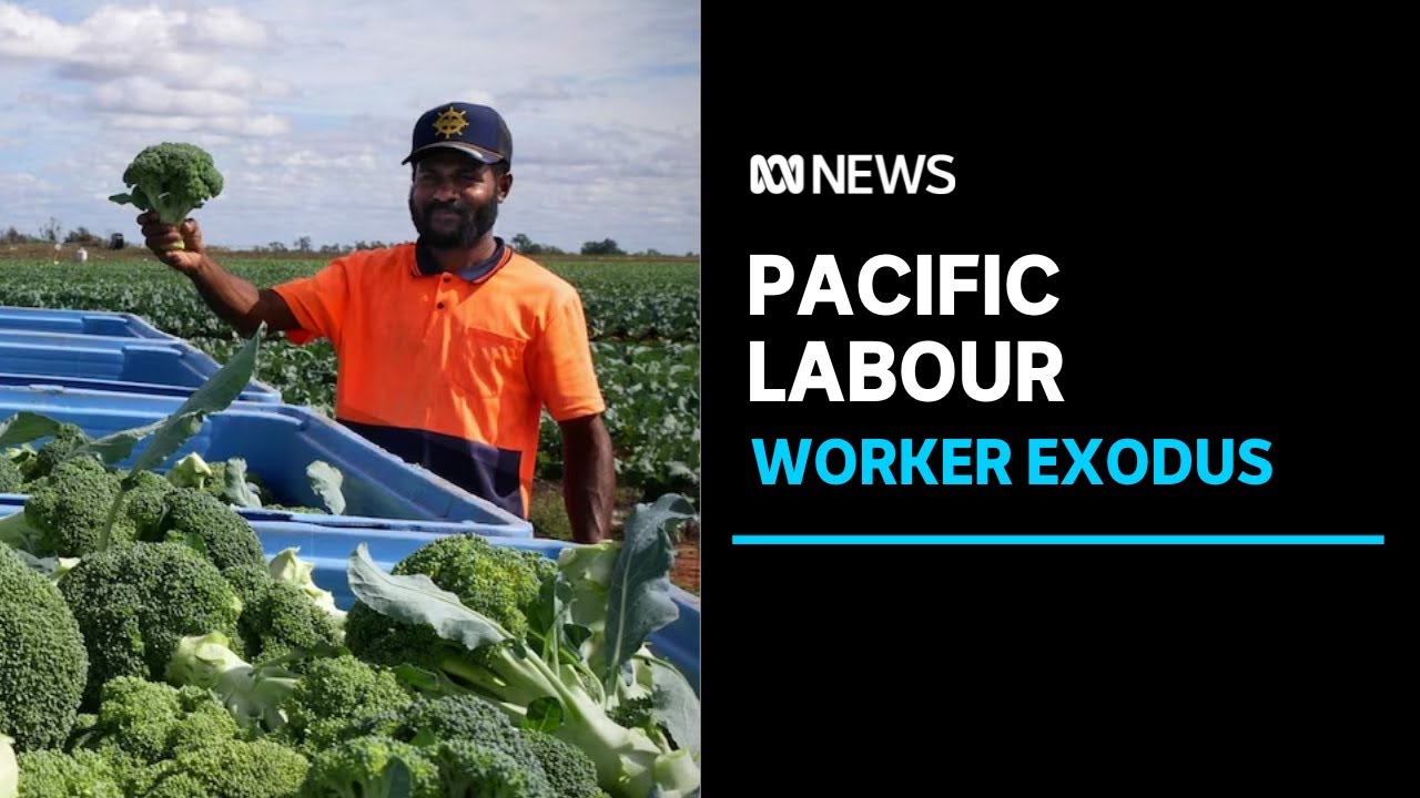 Worker exodus from Pacific island nations causing skills shortage back ...