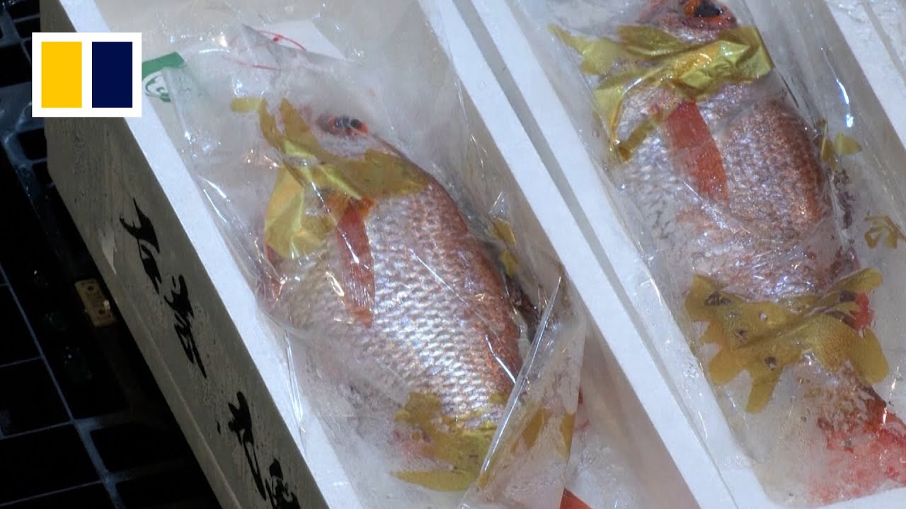Japan tests Fukushima fish daily to quell safety concerns - The Global ...