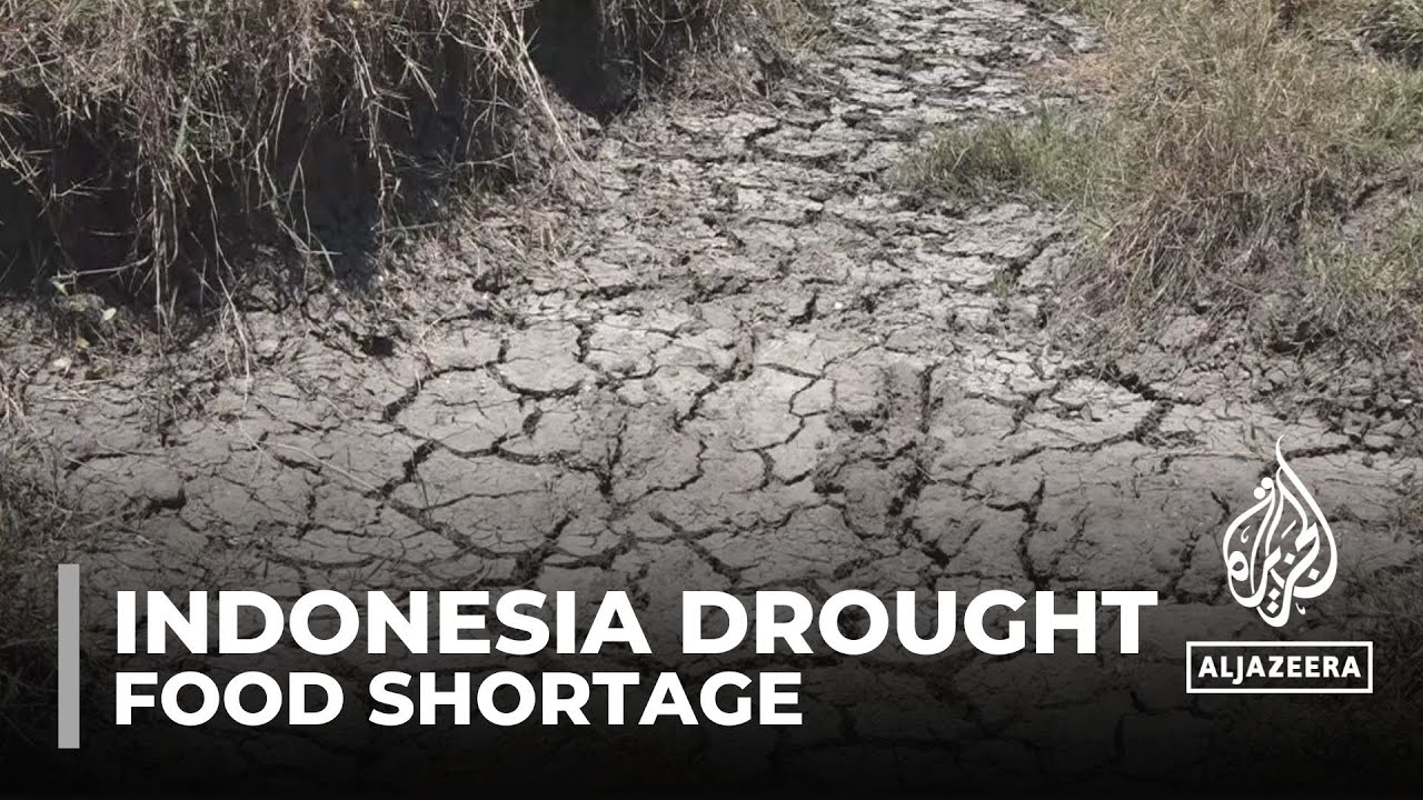 Indonesia drought: Thousands face food shortages - The Global Herald