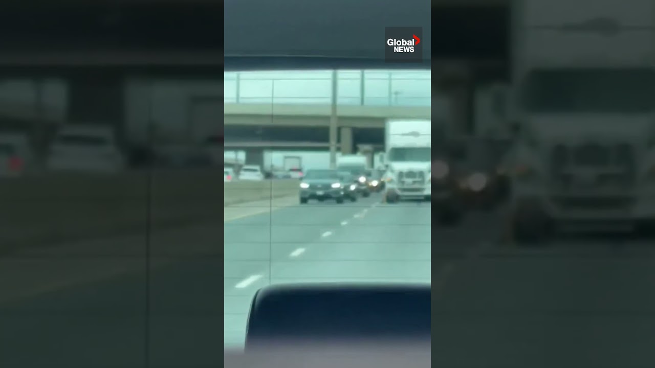 "Road rage" incident shows 2 people fighting on Highway 401 #toronto ...