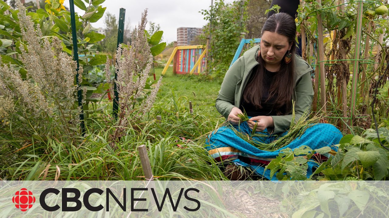 How this garden is helping Indigenous youth rediscover their roots ...