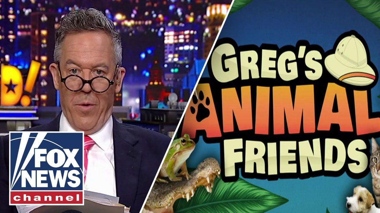 ‘Gutfeld!’ highlights the best animal clips - The Global Herald