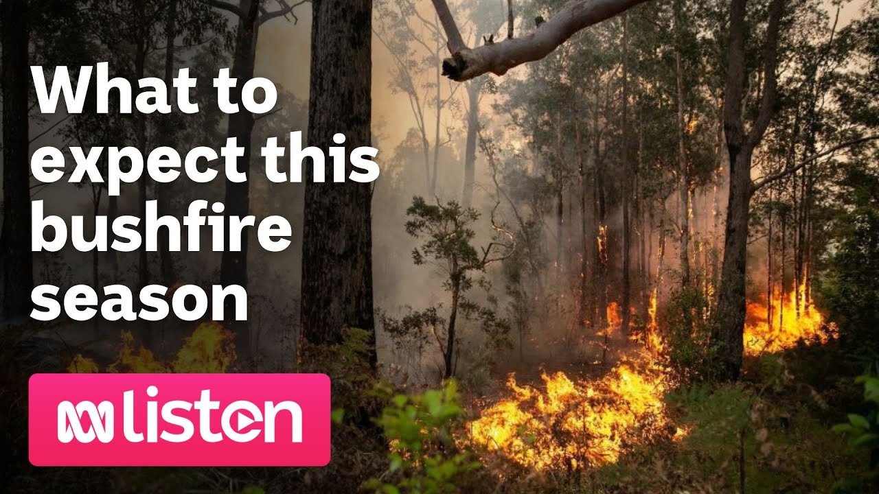 What to expect this bushfire season | ABC News Daily Podcast - The ...