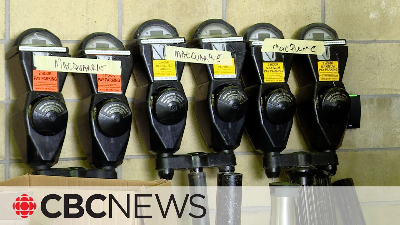 Red Deer, Alta., residents line up to buy parking meters - The Global ...