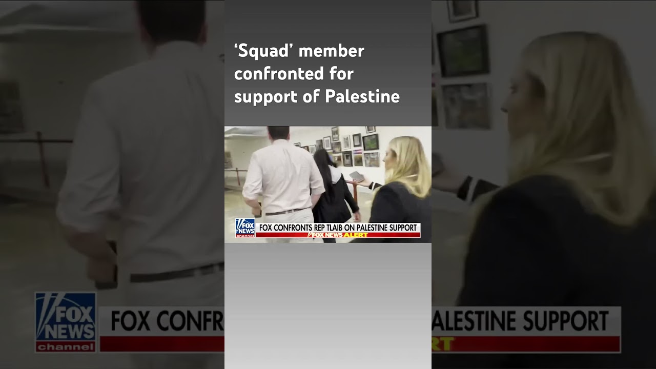 'Squad' member Rep. Rashida Tlaib refuses to answer for Palestine ...