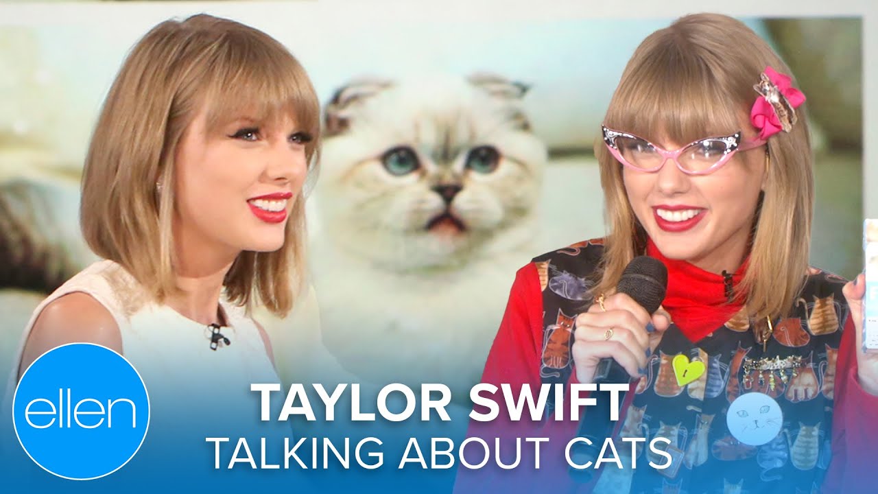 Best of Taylor Swift Talking About Cats - The Global Herald