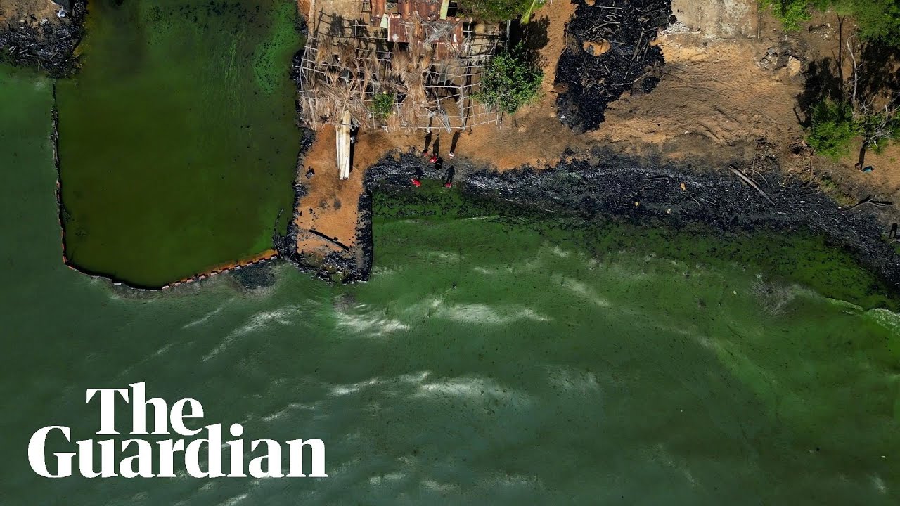 Venezuelans handpick plastic and rake up oil in bid to save Lake ...