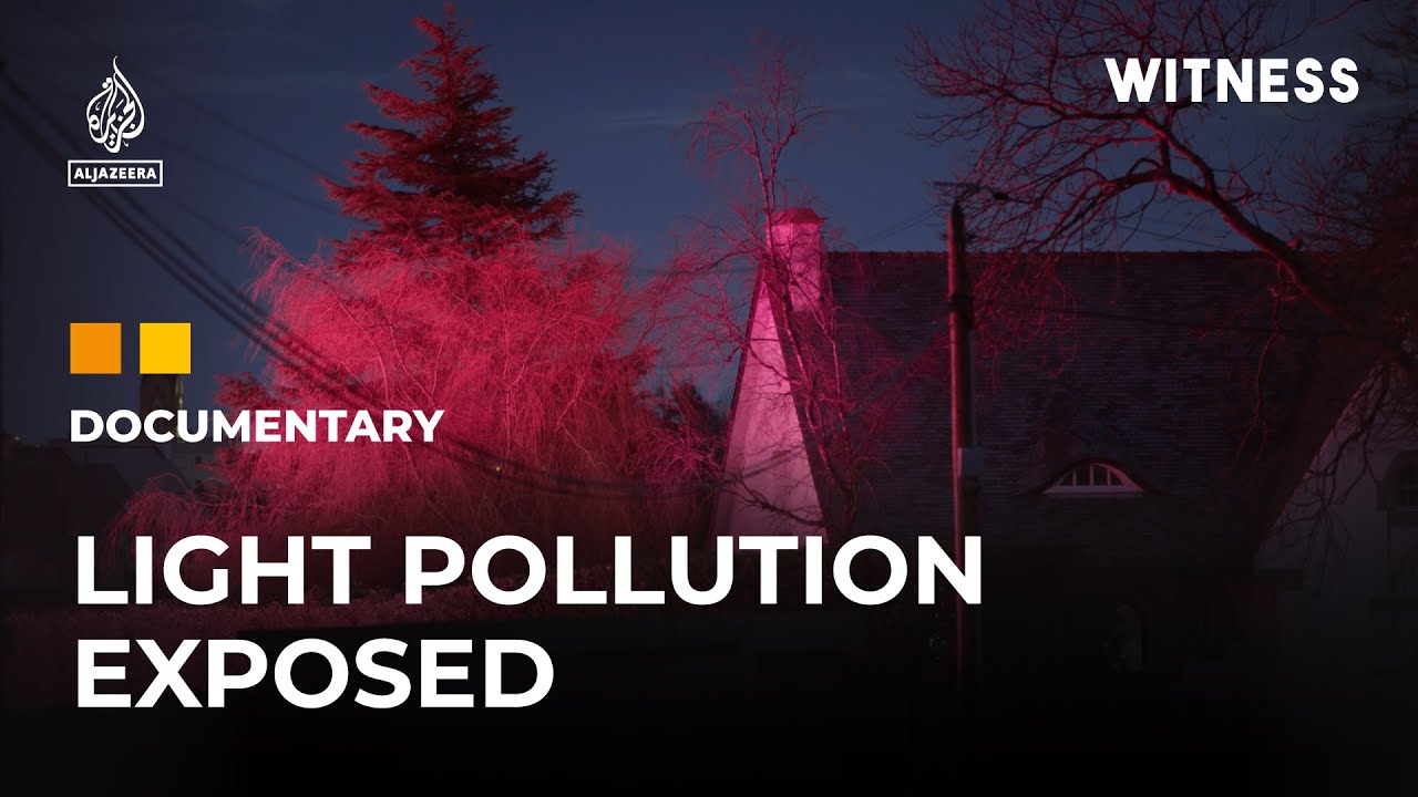 How light pollution impacts the world around us | Witness Documentary ...