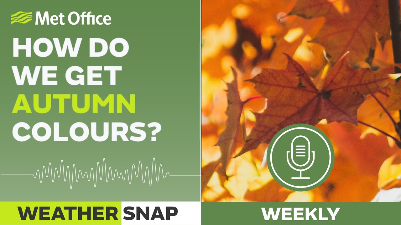 Colder but maybe more colourful 13/10/2023 – Weather Snap podcast – Met ...