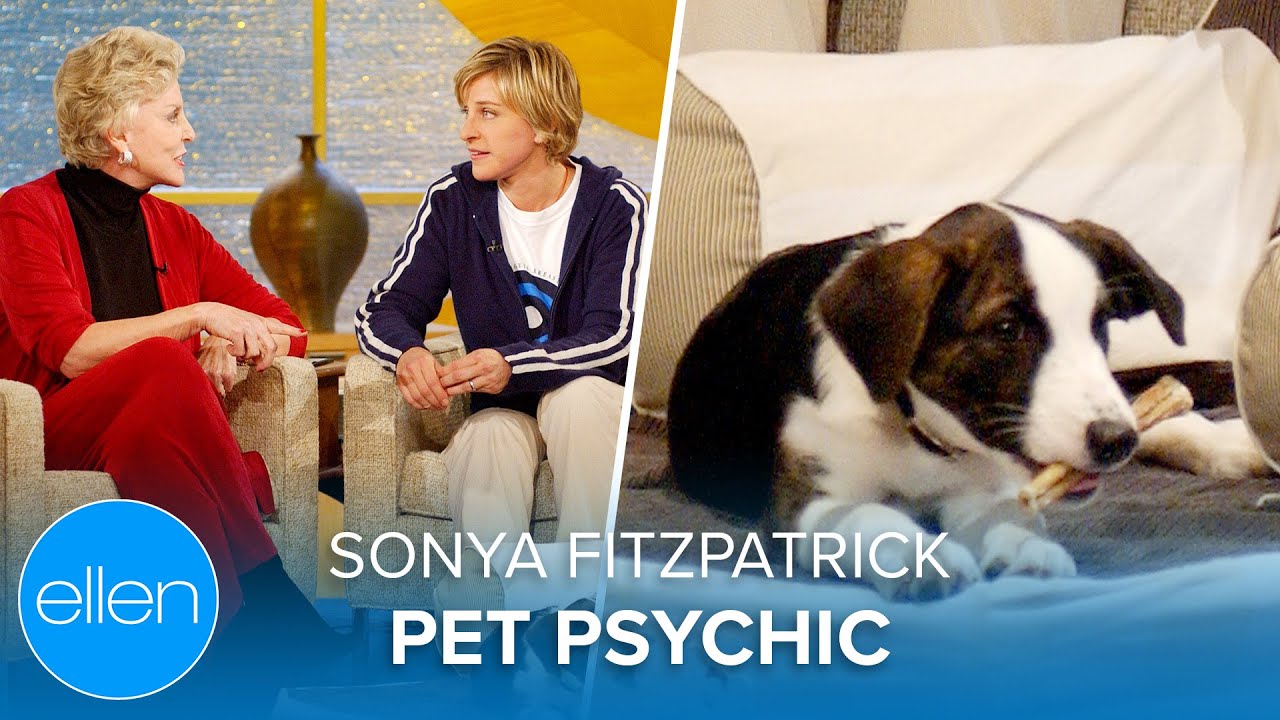 Pet Psychic Sonya Fitzpatrick Reads Ellen’s Dog - The Global Herald