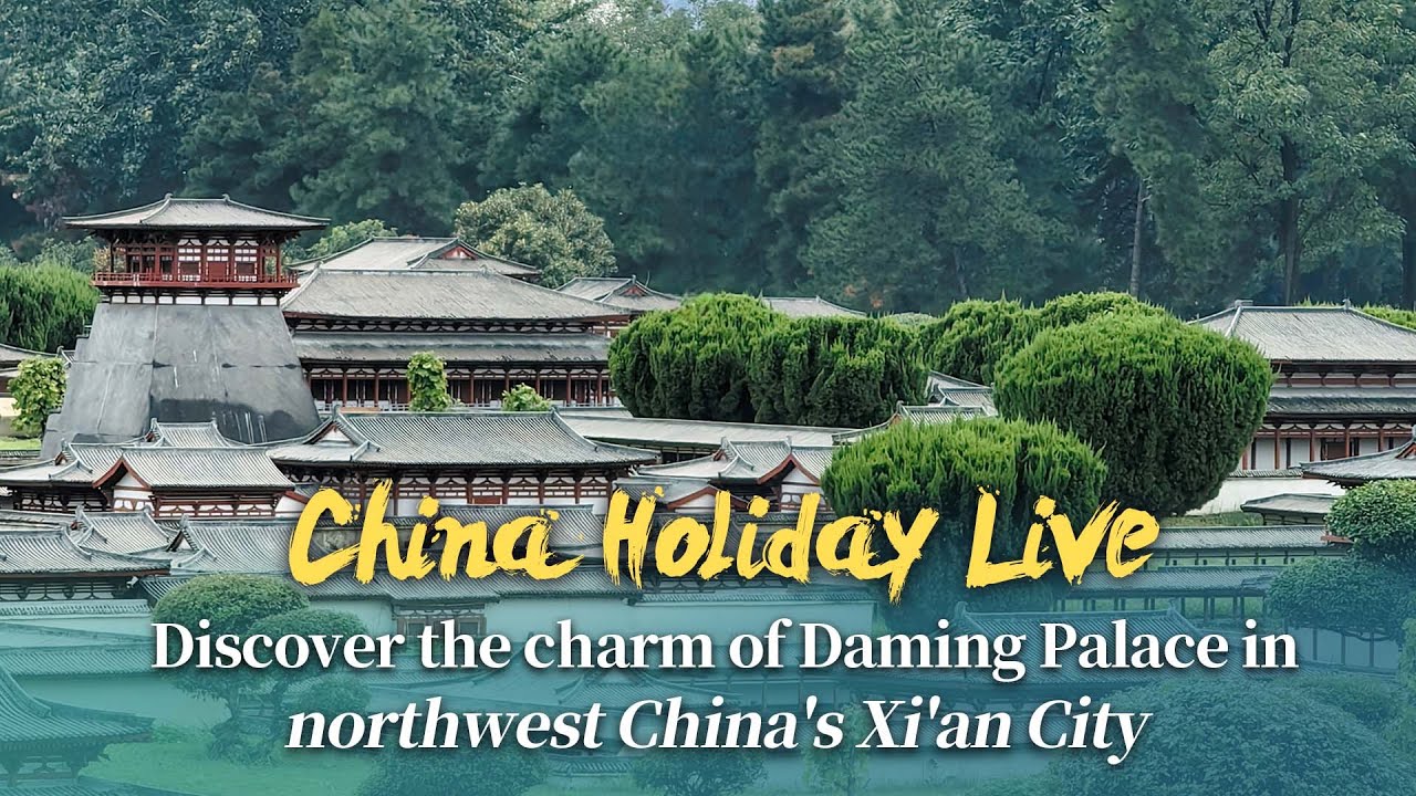 Live: China Holiday Live - Discover the charm of Daming Palace in northwest China's Xi'an City ...
