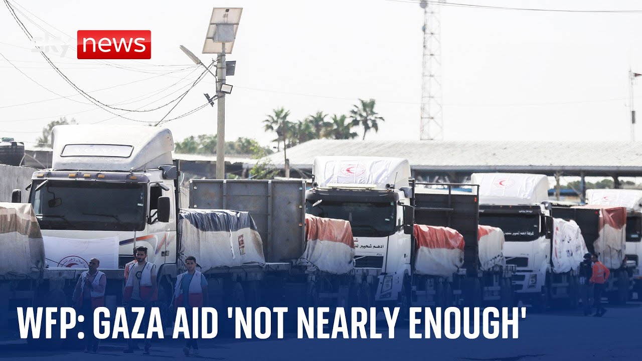 Israel-Gaza war: World Food Programme boss warns aid quantity won't be ...