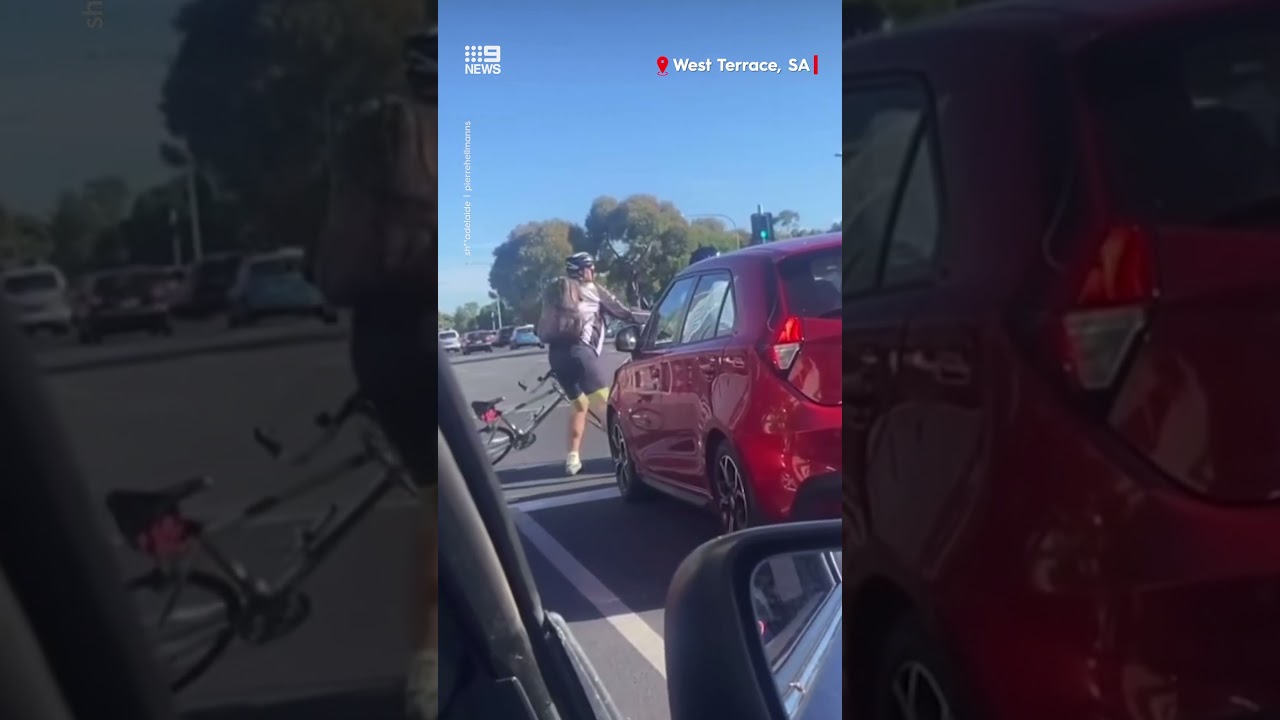 Road rage punch-up caught on camera - The Global Herald