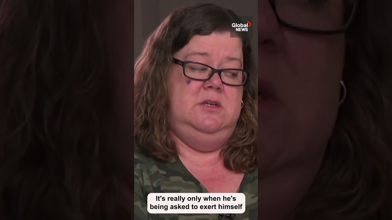 Fat cat "Peaches" makes splash on TikTok over weight loss routine - The ...