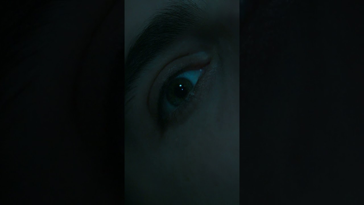 Wonka Watch Full Trailer Now The Global Herald