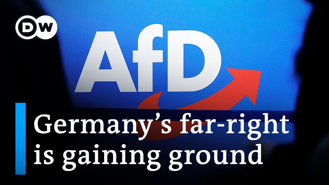 How much of a neo-Nazi party is the German AfD? | DW News - The Global ...