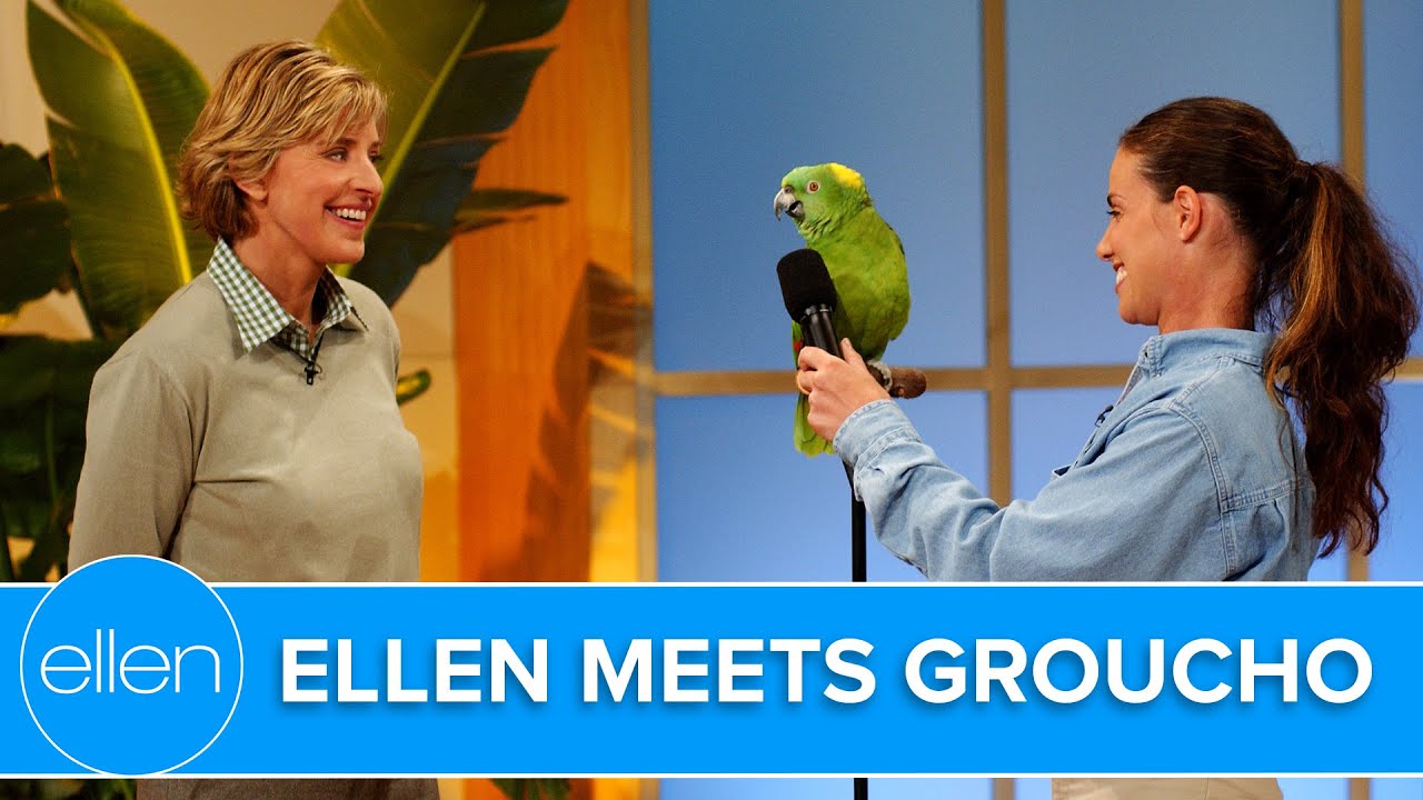 Ellen Meets Groucho the Singing Parrot - The Global Herald