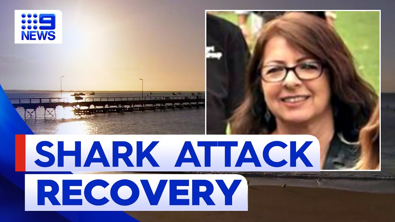 Grandmother recovering after terrifying shark attack off SA beach | 9 ...