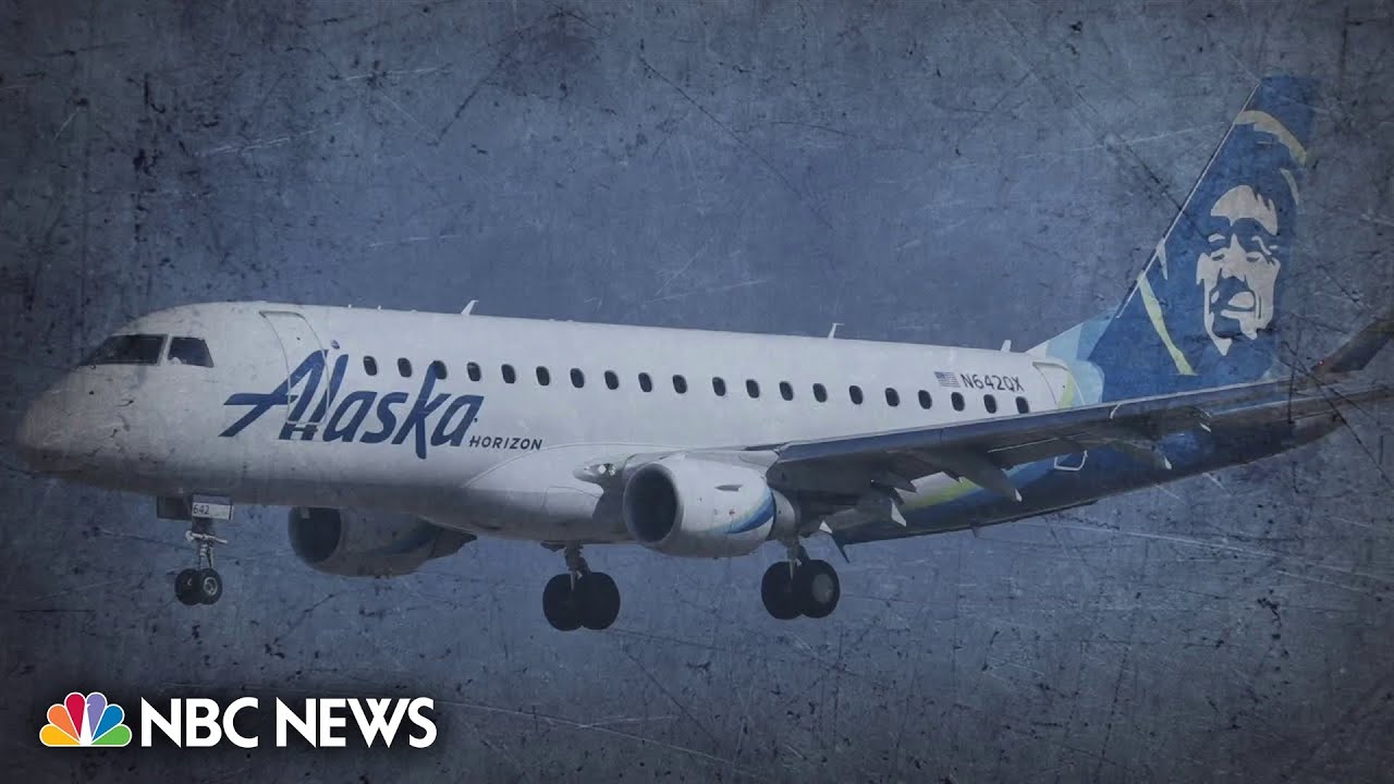 Pilot in jail on 83 counts of attempted murder after allegedly trying to shut down plane engine ...