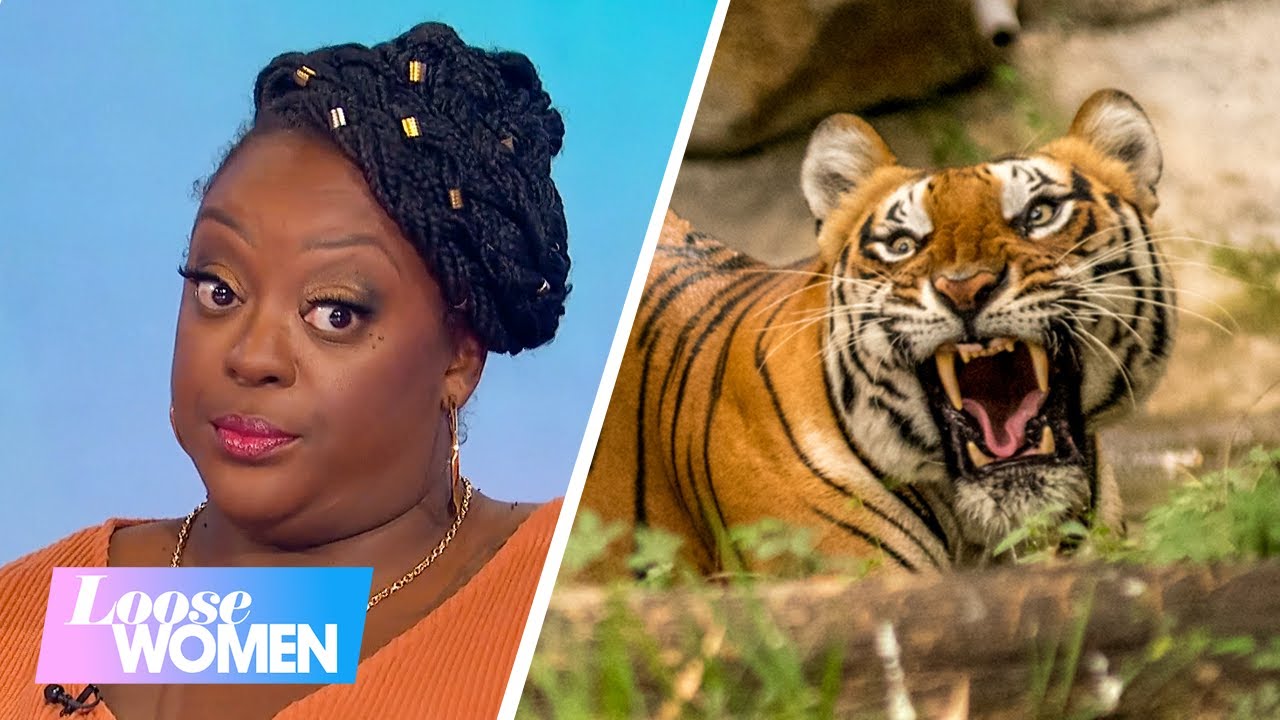 Strict Or Laid-Back? What's Your Animal Parenting Style? | Loose Women ...