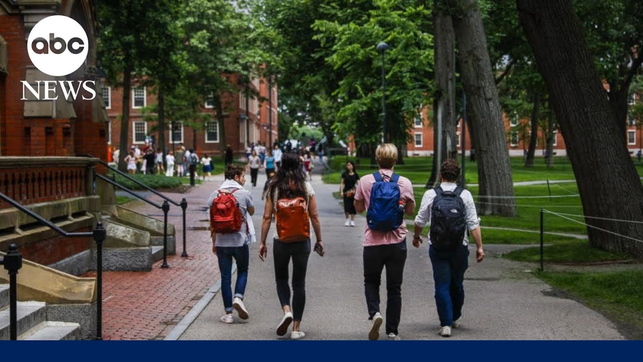 Wave of critical comments hit Harvard Palestinian student group | ABCNL ...