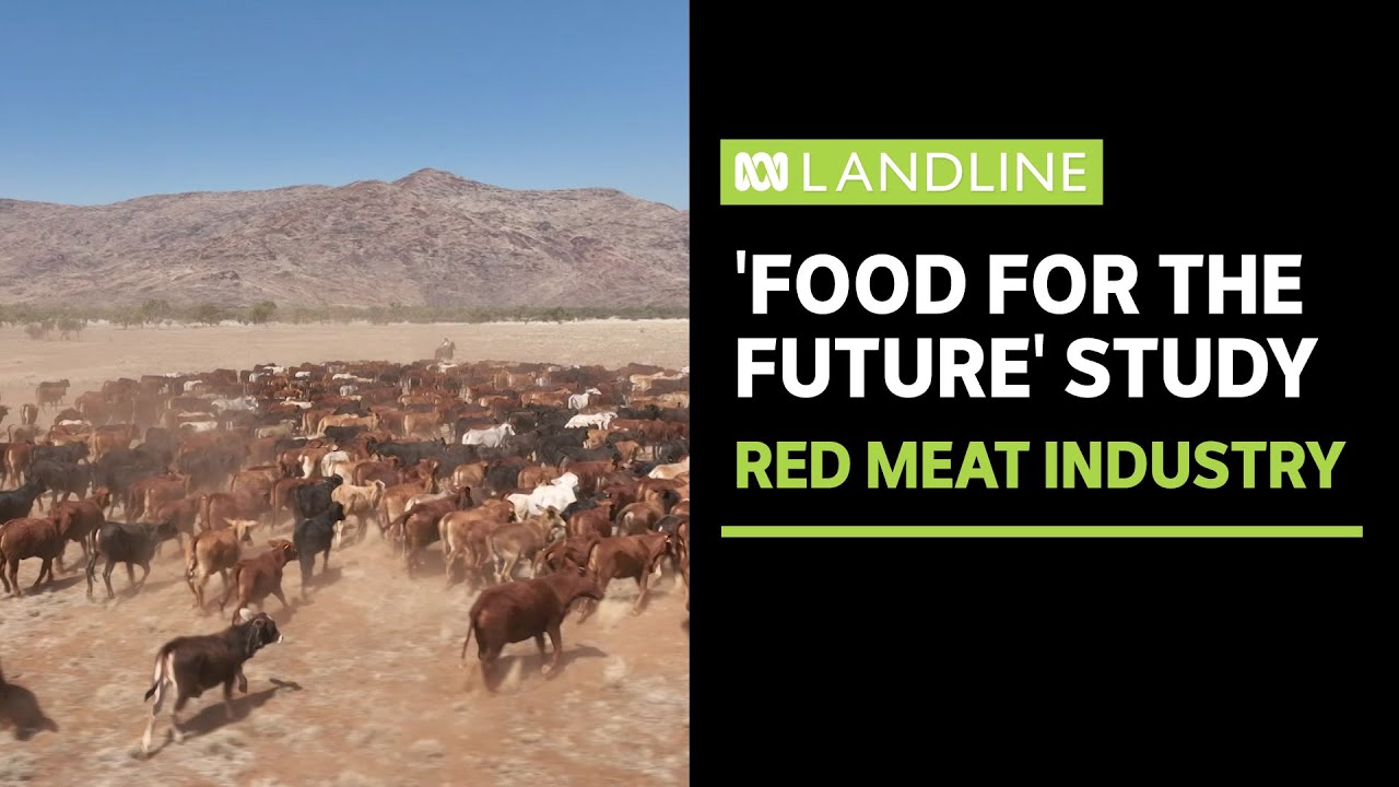 Australia's largest sustainability study of the red meat industry is ...