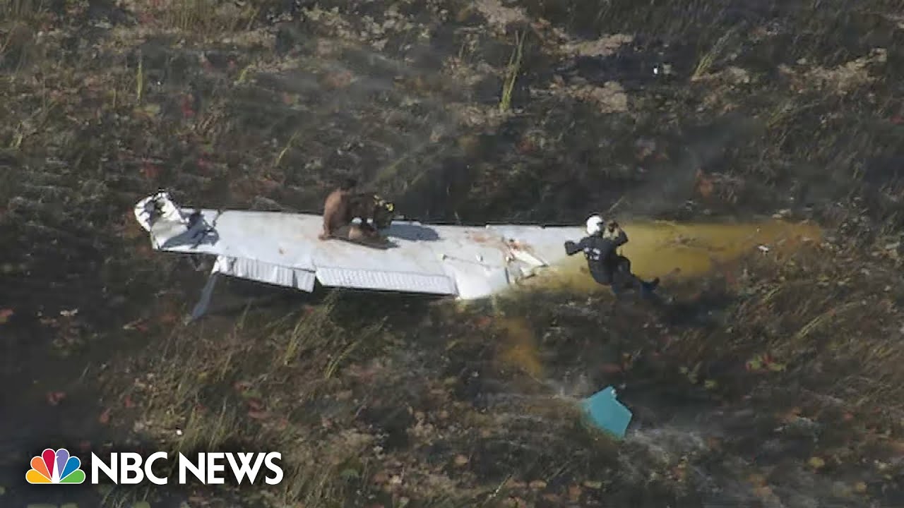 Video shows pilot being lifted to safety after crashing into Florida ...