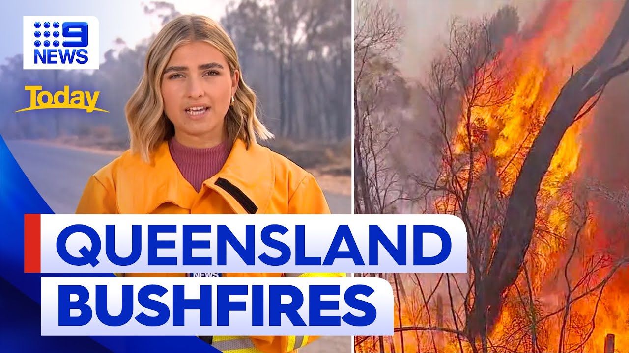 Queensland bushfires: Latest warnings and updates | 9 News Australia ...