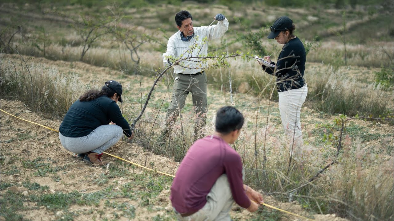 Bio-Cultural Diversity and Community-Based Conservation in Oaxaca - The ...