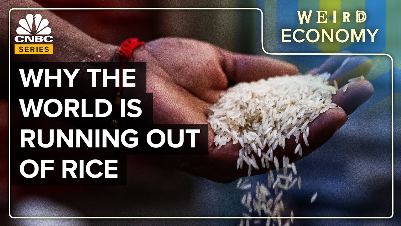 Why Rice Markets Are In Crisis Mode - The Global Herald