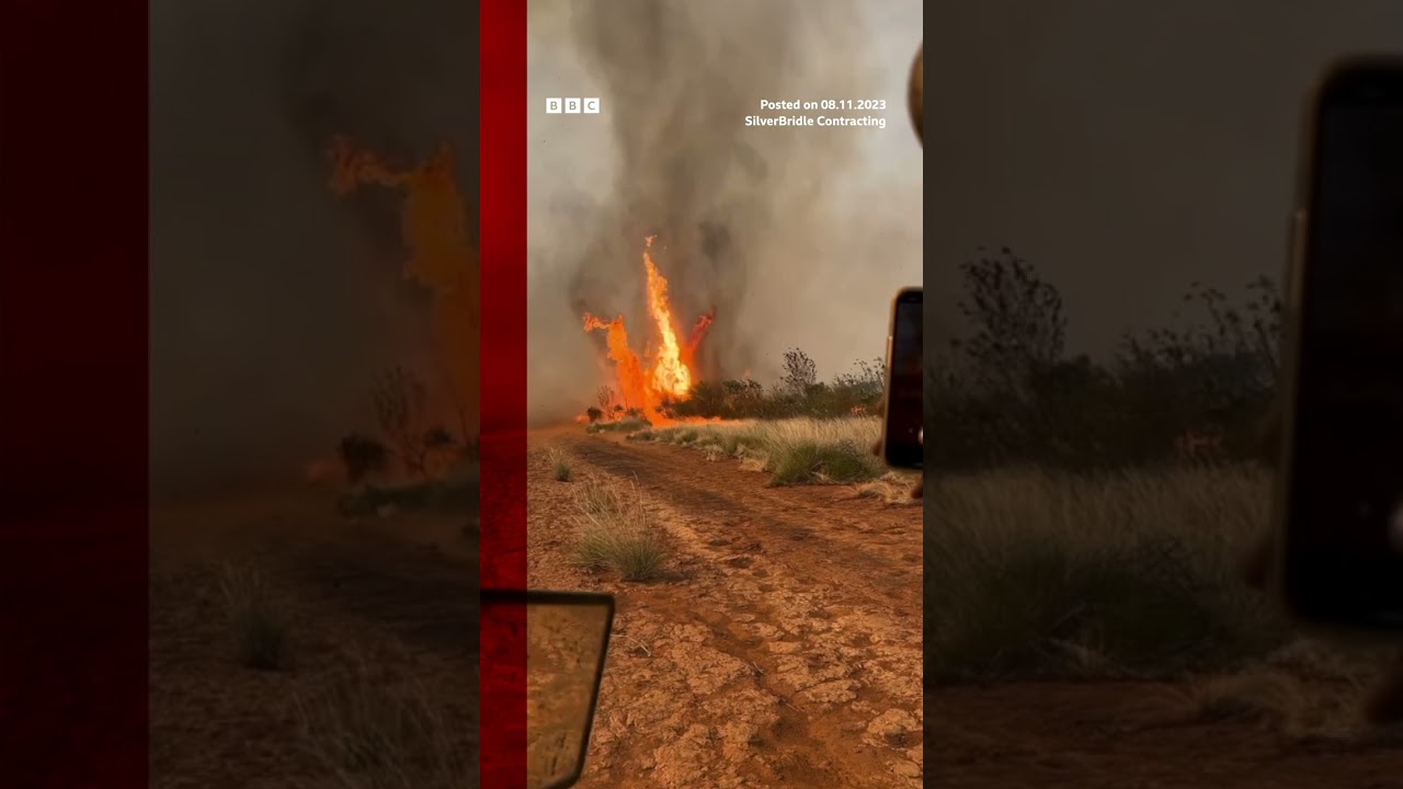Moment ‘firenado’ sweeps through the Australian outback. #Shorts # ...