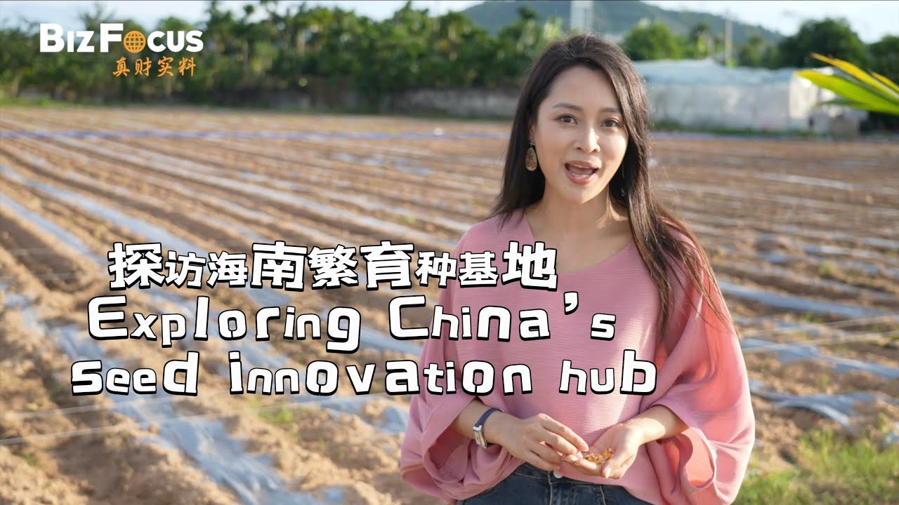 Behind the harvest: Exploring China's seed innovation hub - The Global ...