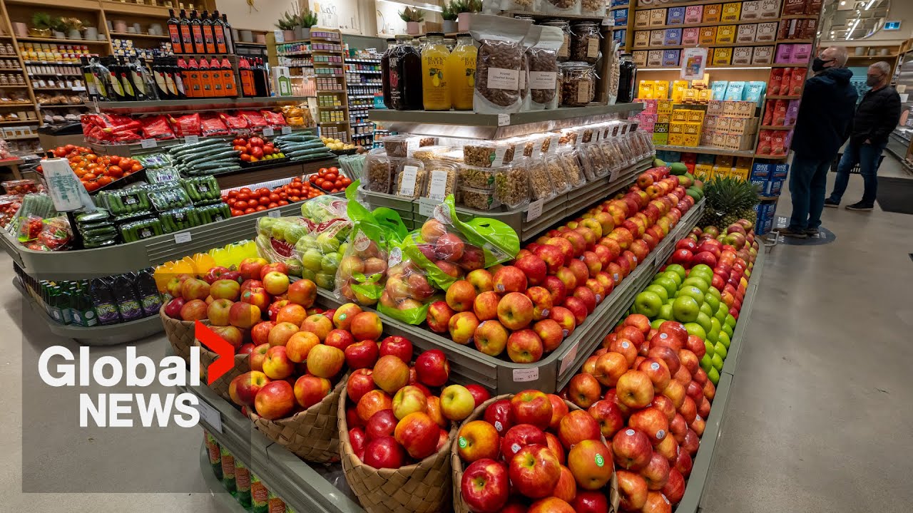 Who is "food insecure" in Canada? New data shows "very high" need - The ...