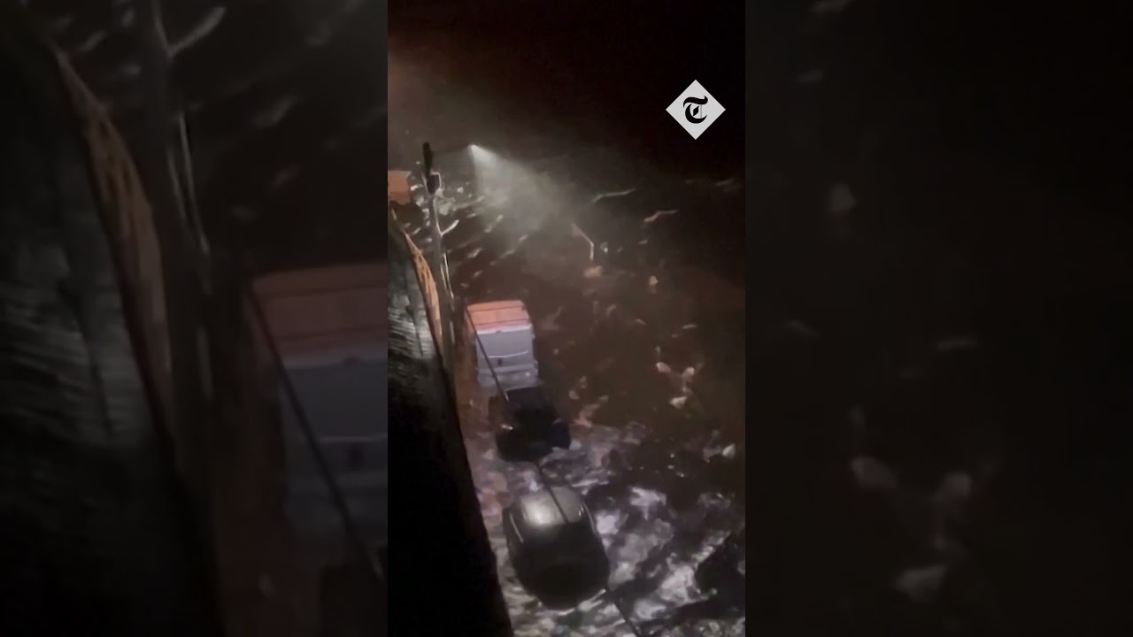 Storm Debi lashes Galway streets with wind and floodwaters - The Global ...