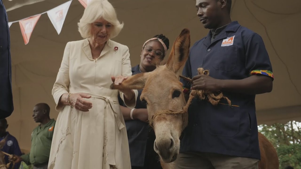 Queen befriends donkeys and dances in Nairobi - The Global Herald