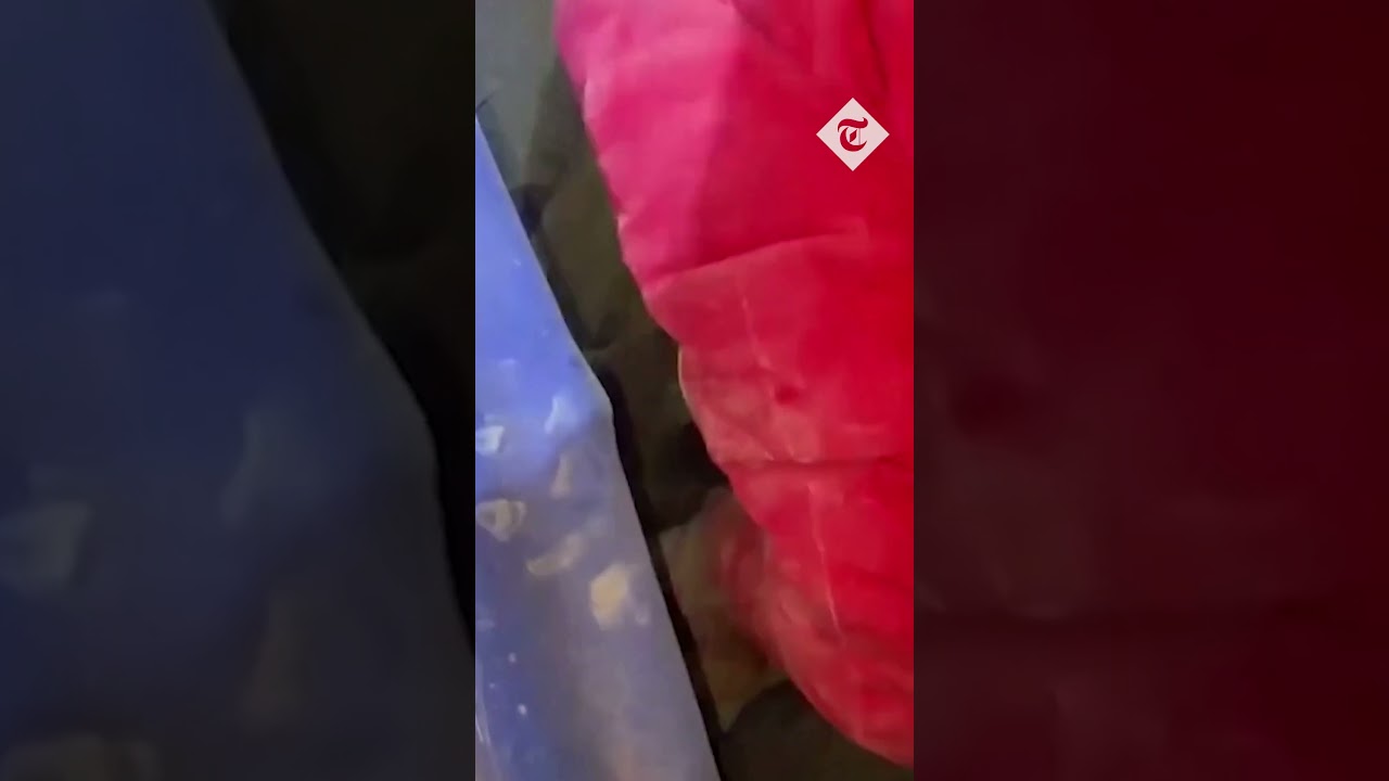 Moment woman pulled alive from rubble after Nepal earthquake - The ...