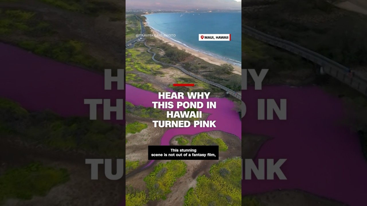 Hear why this pond in Hawaii turned pink - The Global Herald