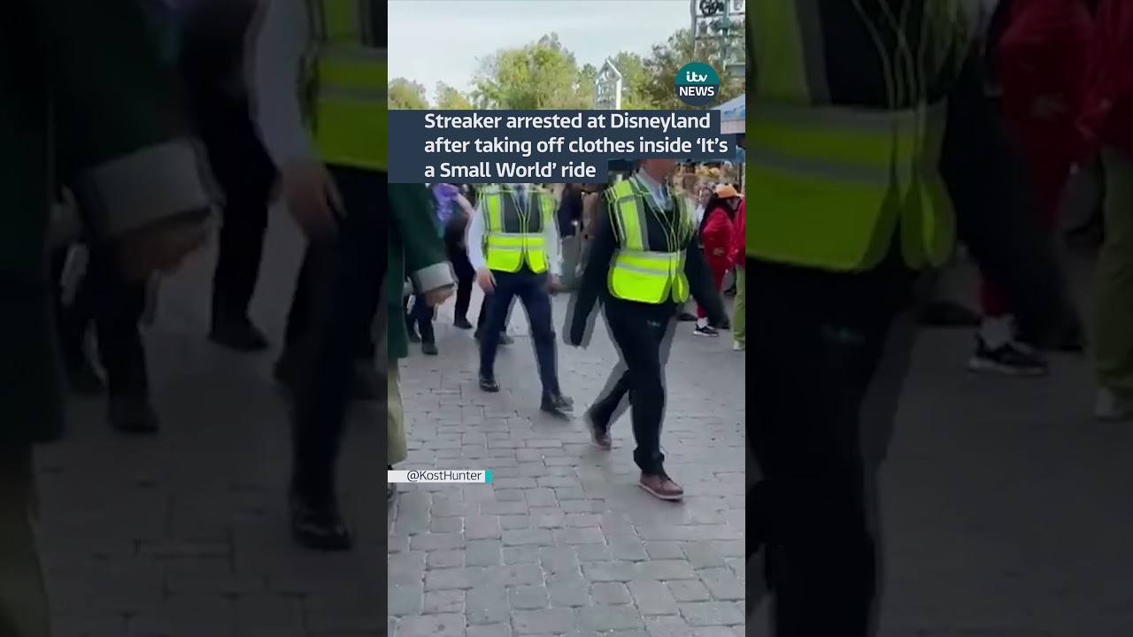 Streaker arrested at Disneyland after taking off clothes inside ‘It’s a ...