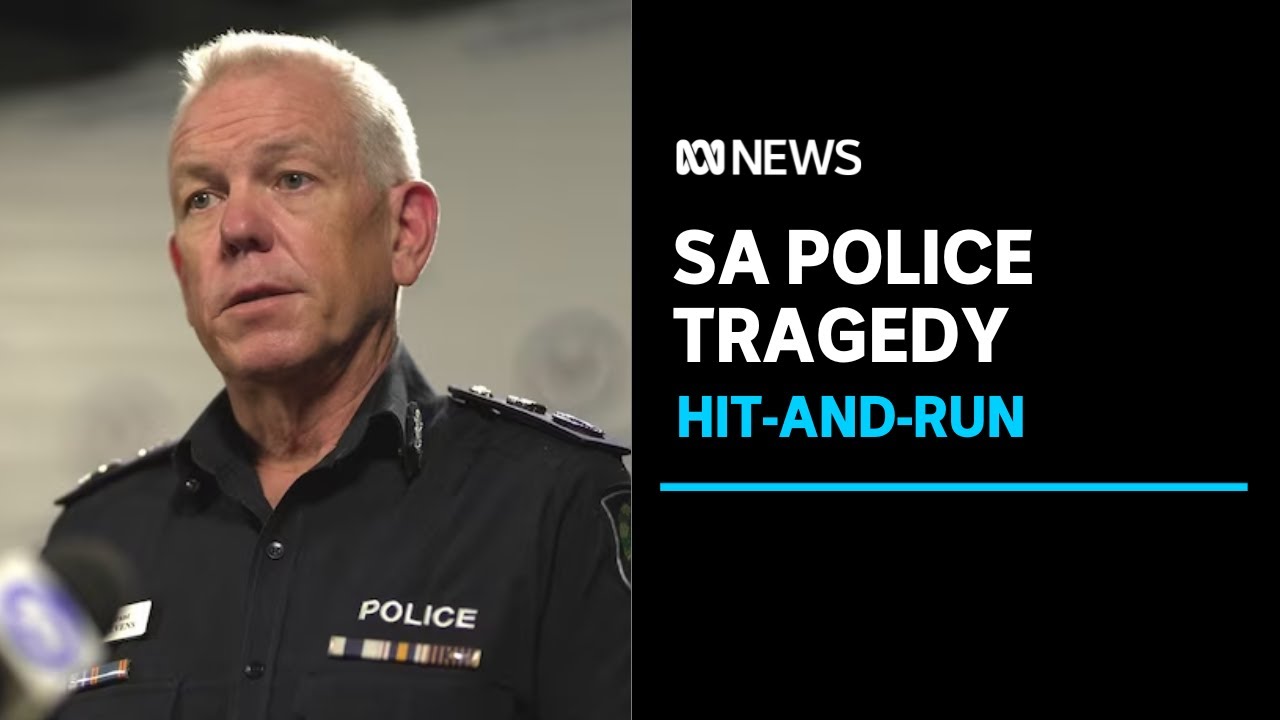 Son of SA Police Commissioner on life support after alleged hit-and-run ...