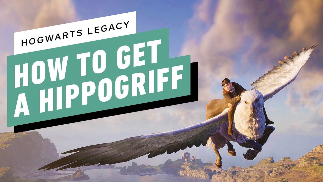 Hogwarts Legacy: How to Get a Hippogriff - The Global Herald