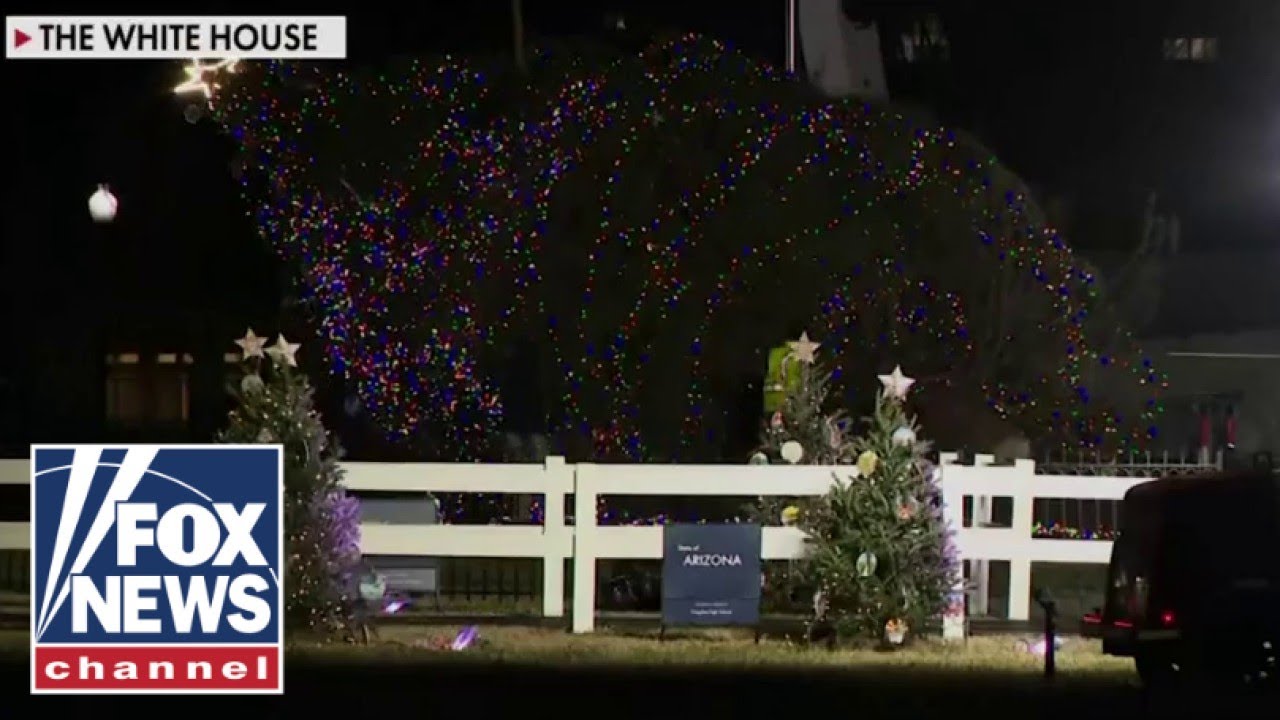 White House Christmas tree takes a tumble - The Global Herald