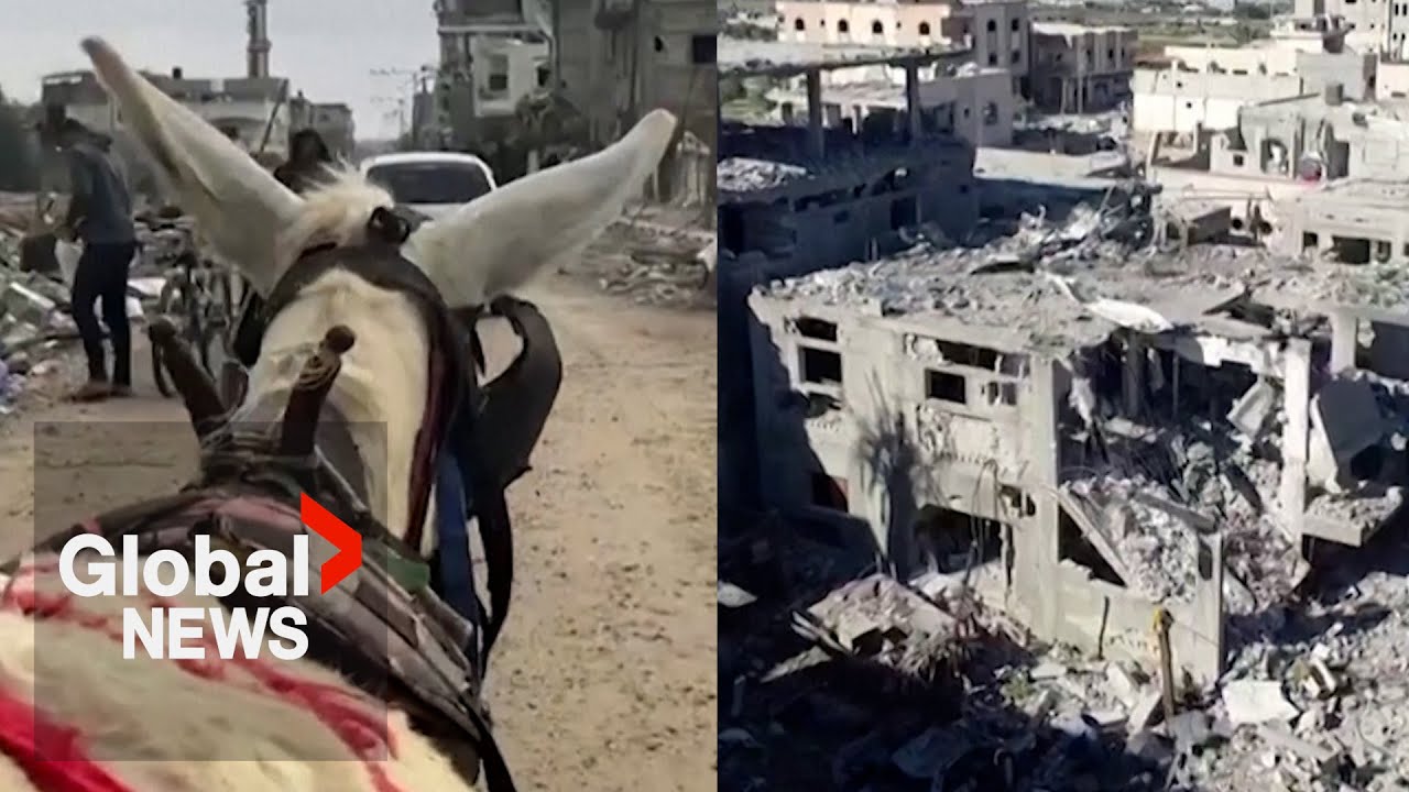Israel-Hamas: Donkey tour, drone footage shows extent of destruction in ...