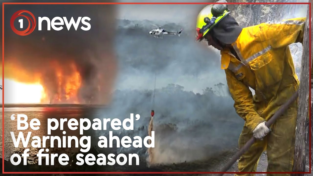 Long, hot summer brings growing risk of wildfires | 1News - The Global ...