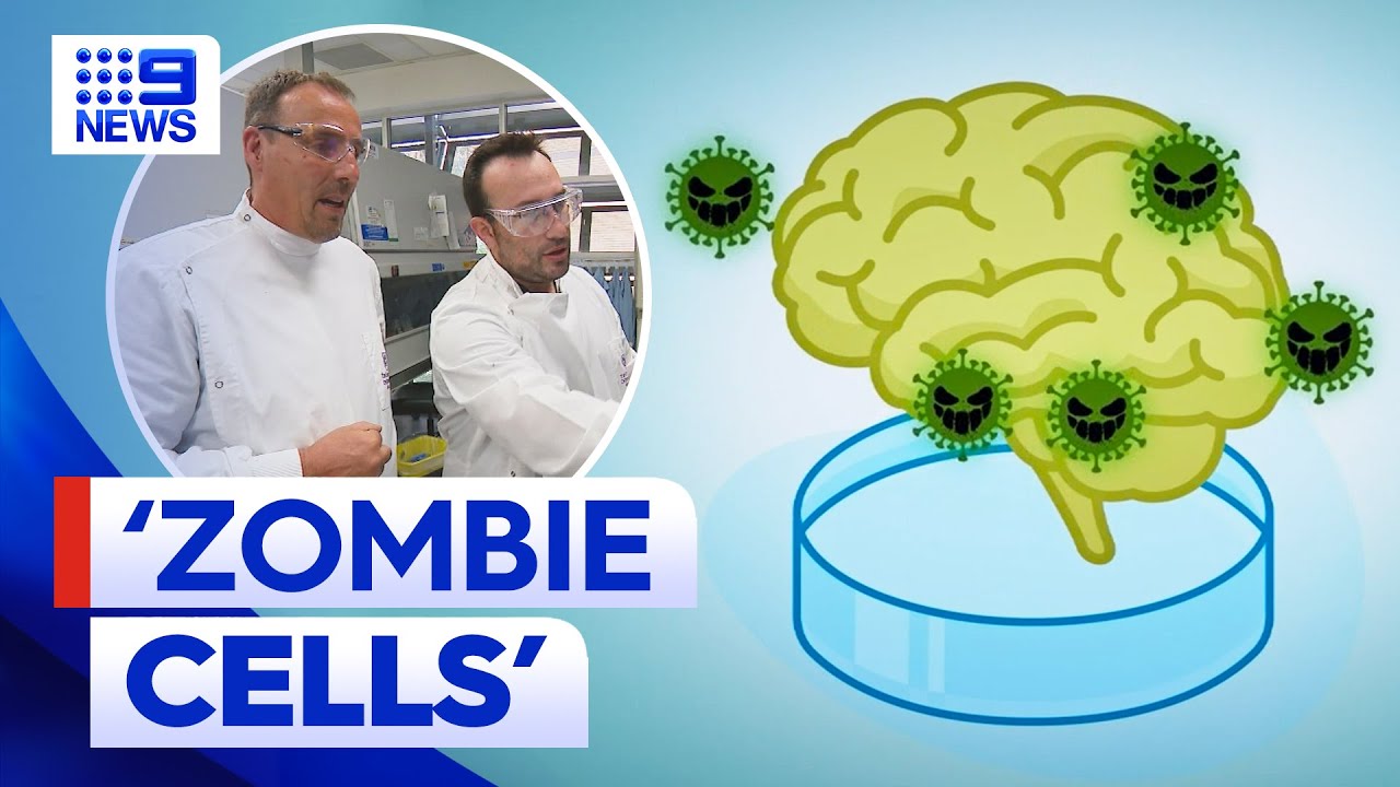 Queensland scientist’s potential treatment for COVID-19 brain fog | 9 ...