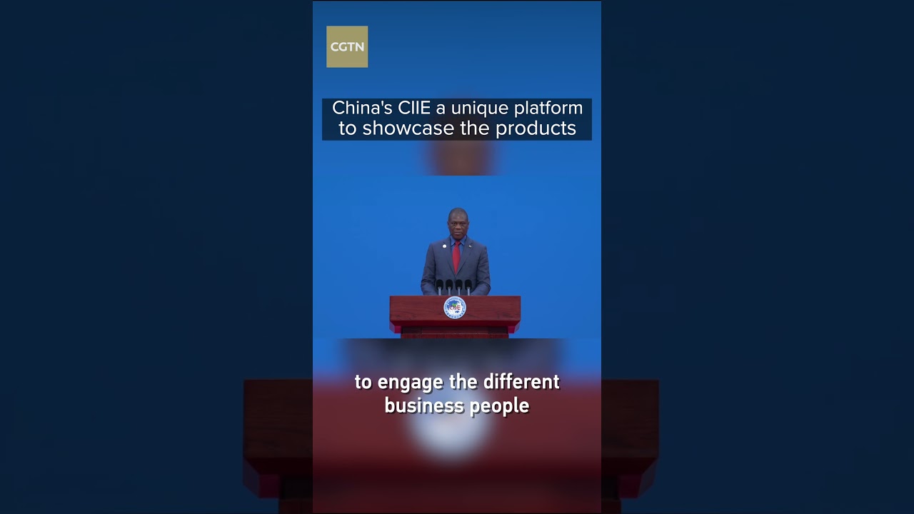 South African official: CIIE 'unique platform' for global companies ...